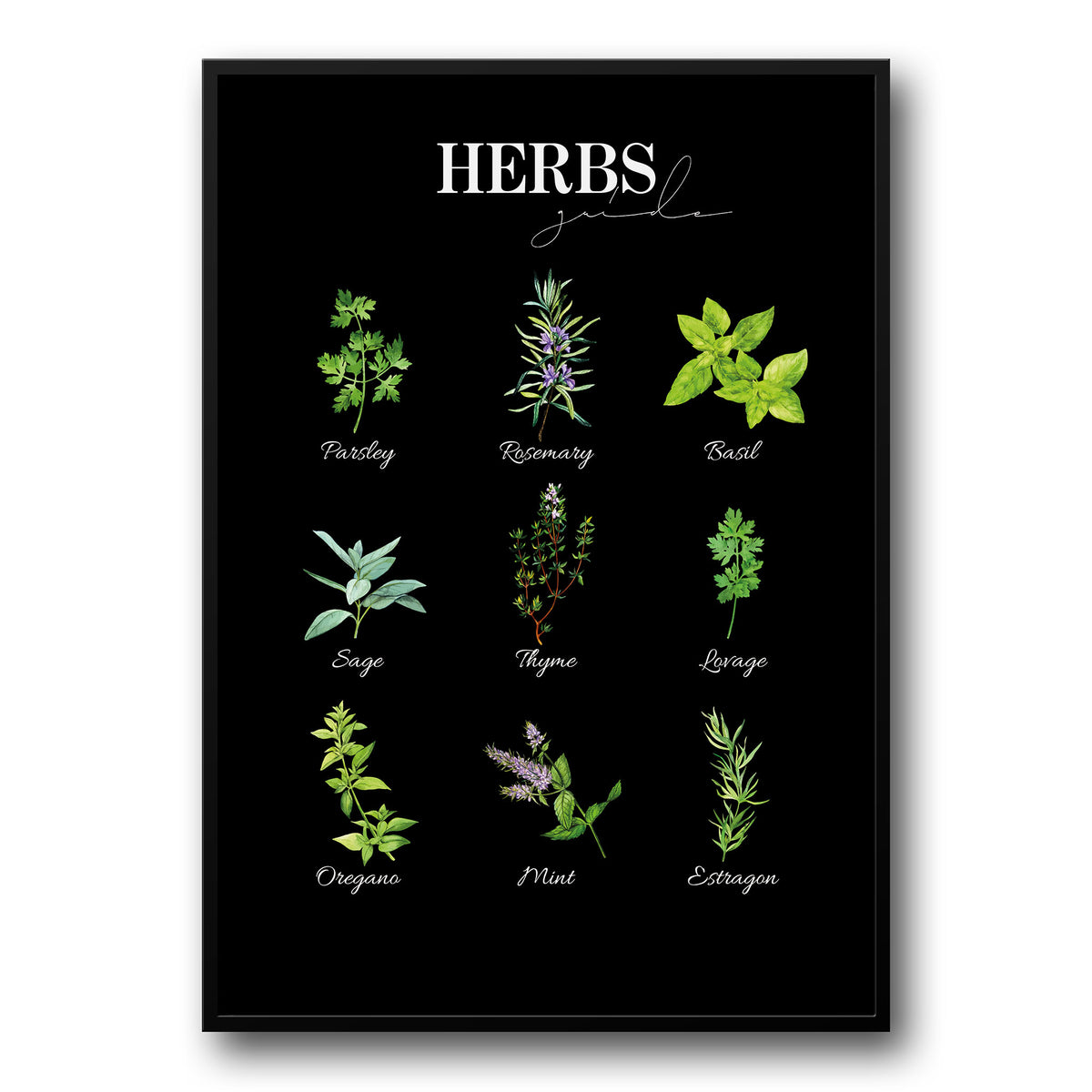 Herbs Guide Poster , Kitchen Poster Kitchen Poster – UK Custom Posters