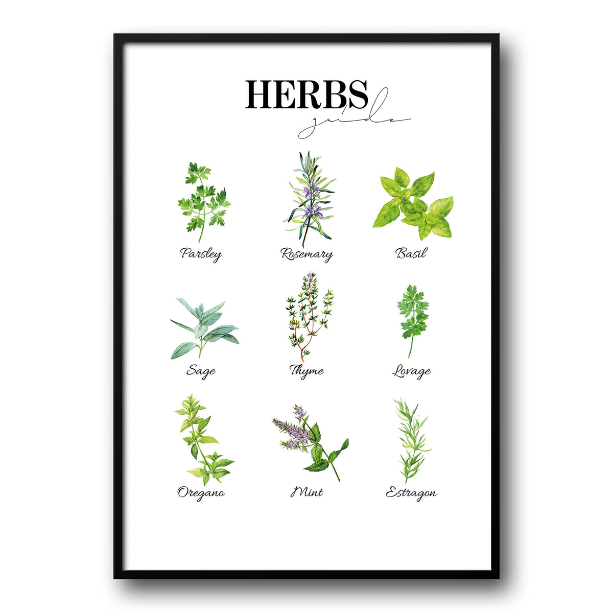 Herbs Guide Poster , Kitchen Poster Kitchen Poster – UK Custom Posters